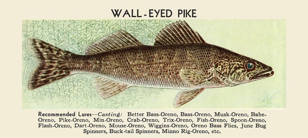 Recalling a Day with the Pike - Manitowish Waters Historical Society